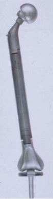 Total Femur Tumor Prosthesis